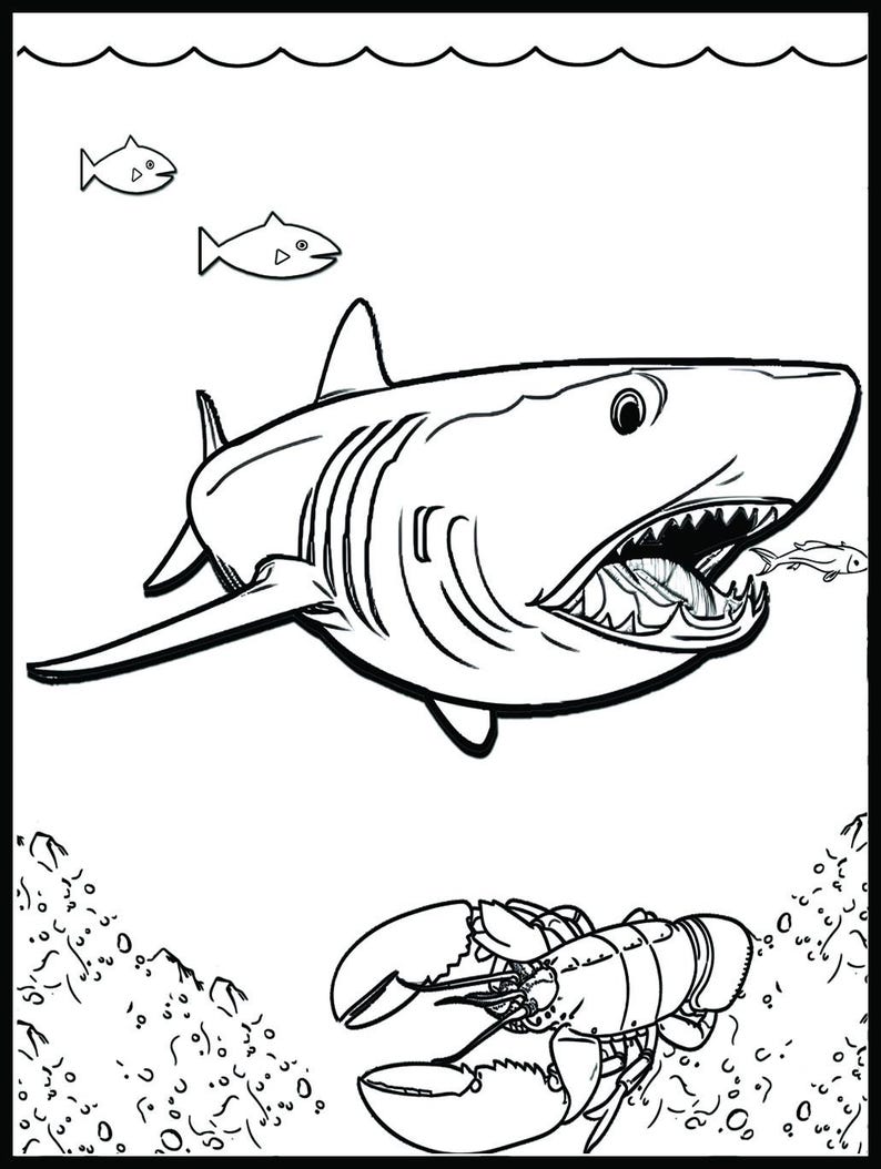 Shark Coloring Pages for Kids: Educational Fun Facts (PDF) - Etsy Canada