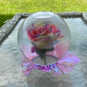 Rainbow Rose Globe - Etsy