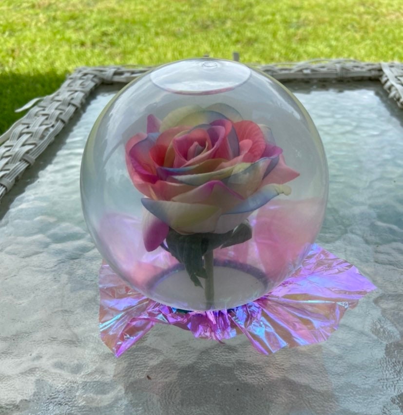 Rainbow Rose Globe - Etsy