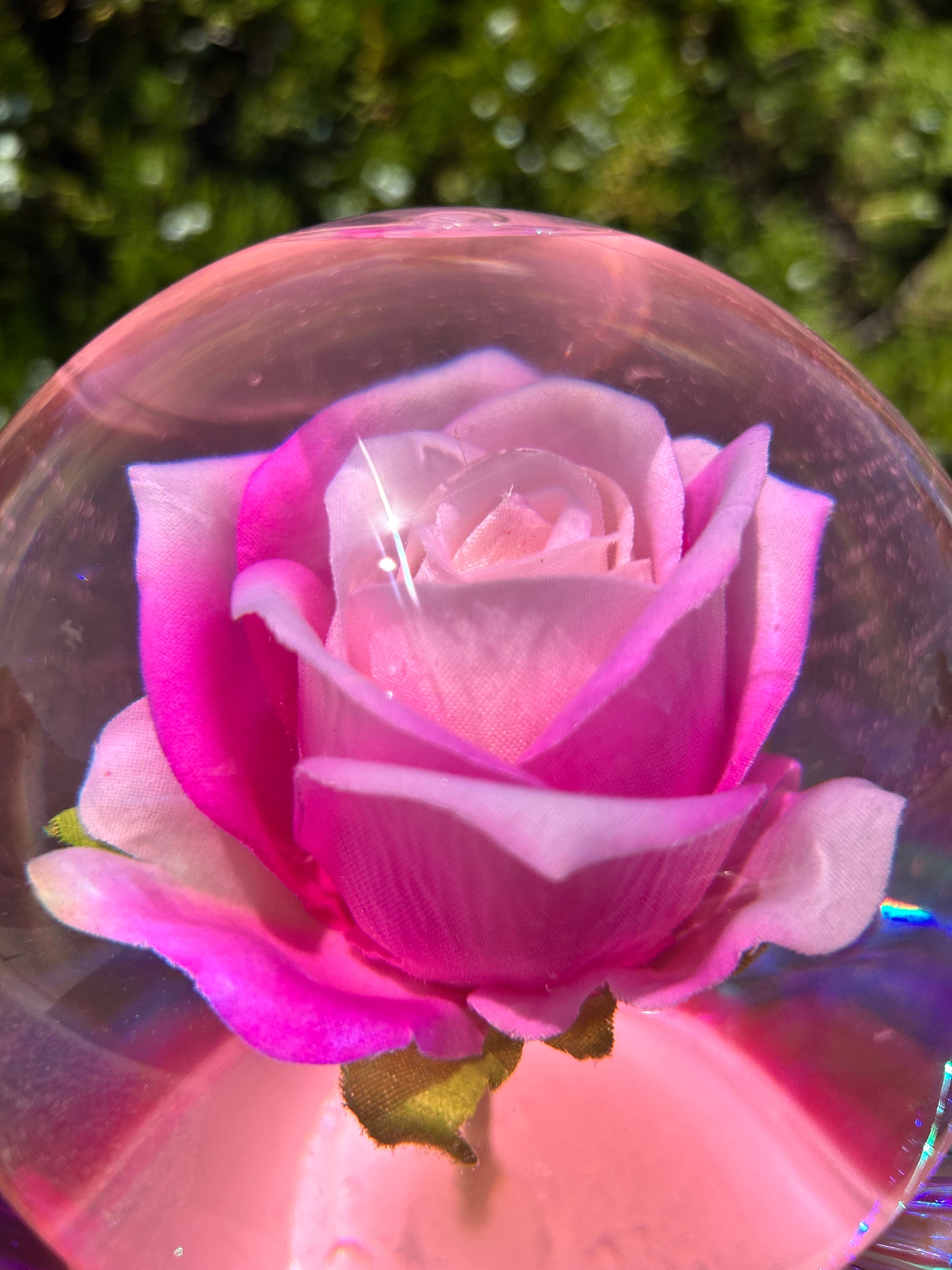 Multi Pink Rose Globe - Etsy