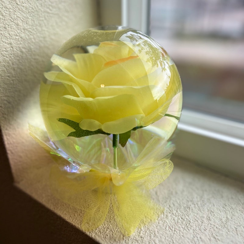 Rose in Water Glass Globe - Etsy