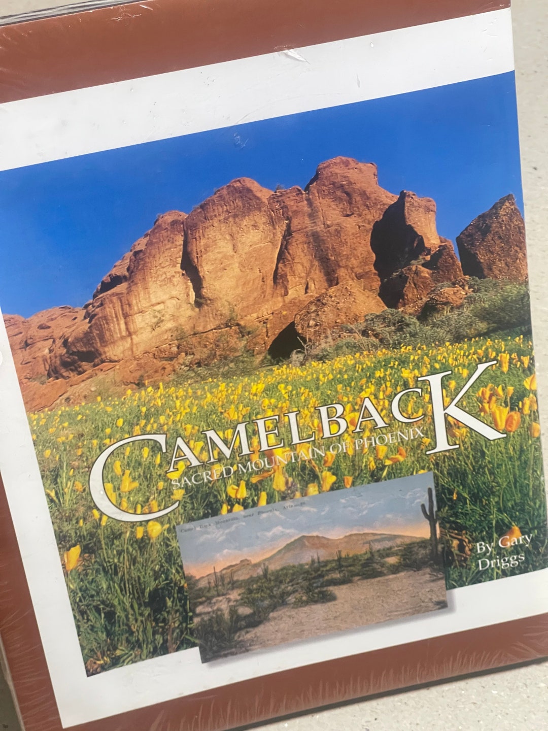 Camelback the Sacred Mountain of Phoenix - by Gary Driggs - Hardcover ...