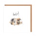 Hello Guinea Pig Card Ruby - Etsy