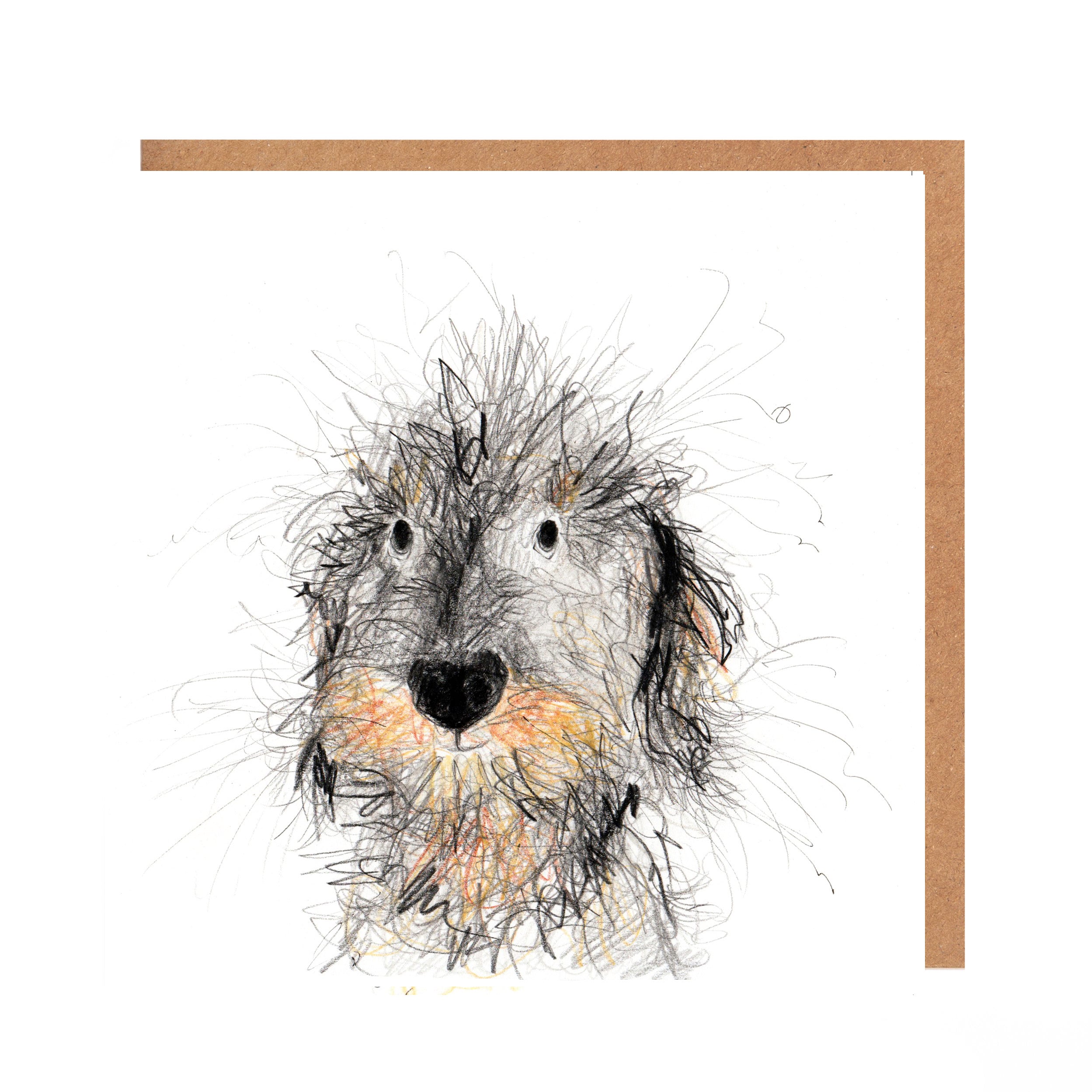 Wire Haired Dachshund Dog Card for All Occasions - Norma - Etsy