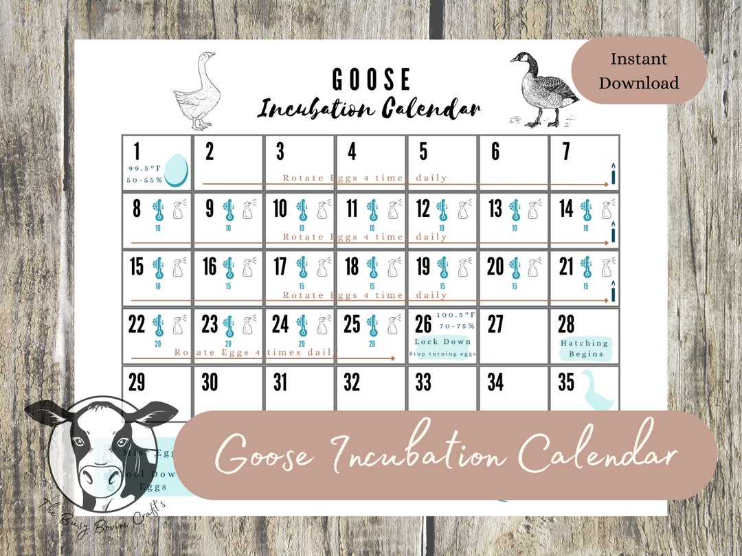 Printable Egg Incubation (hatching) Calendar & Tracker for Geese ONLY ...