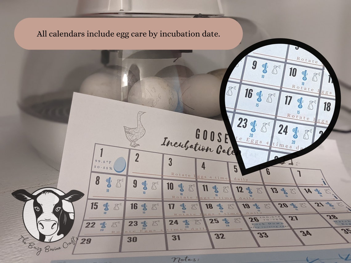 Printable Egg Incubation (hatching) Calendar & Tracker for Chickens ...
