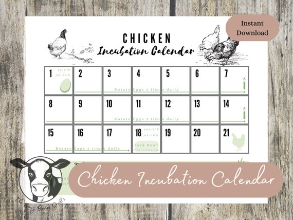 Chicken Egg Hatching Calendar