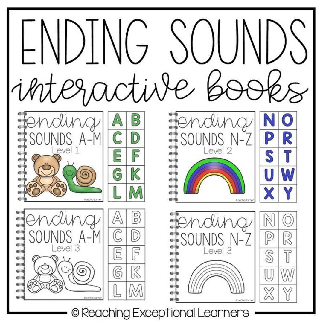 Ending Sounds Interactive Book for Special Education - Etsy