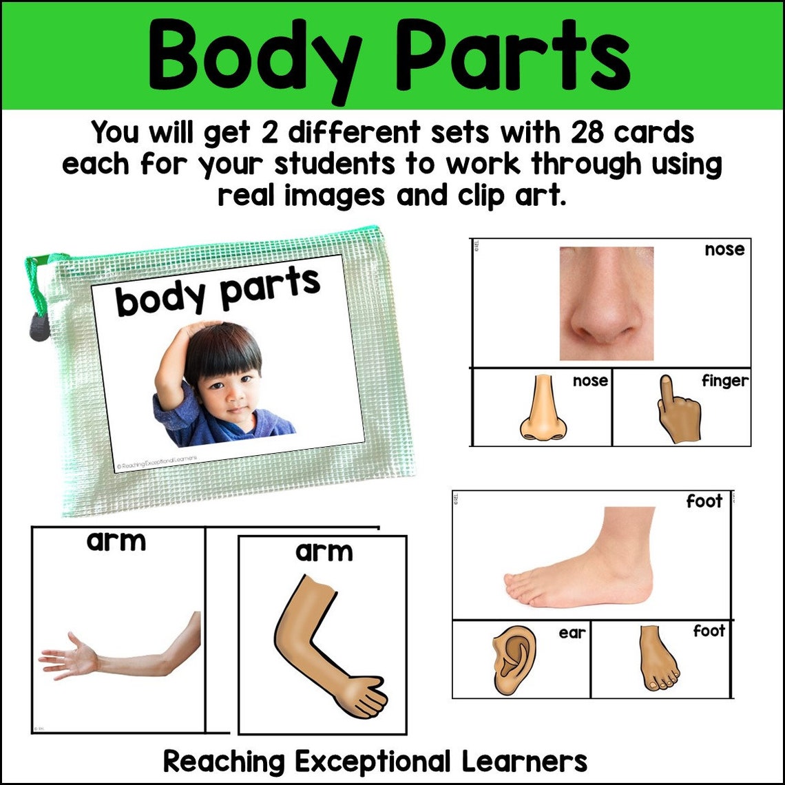 Science Task Boxes Special Education - Etsy