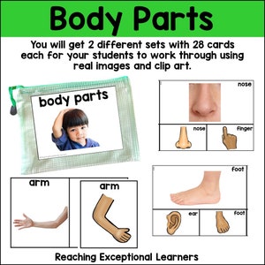 Science Task Boxes Special Education - Etsy