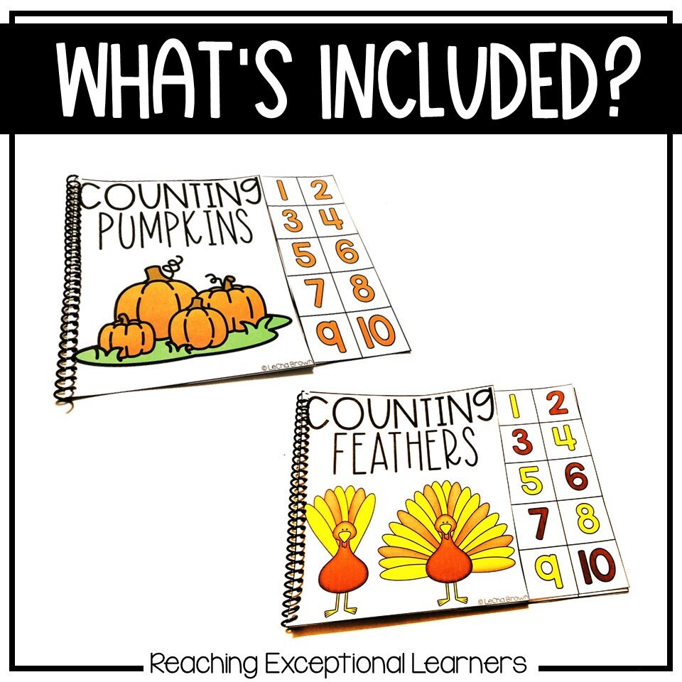 Adapted Books Full Year Bundle - Etsy