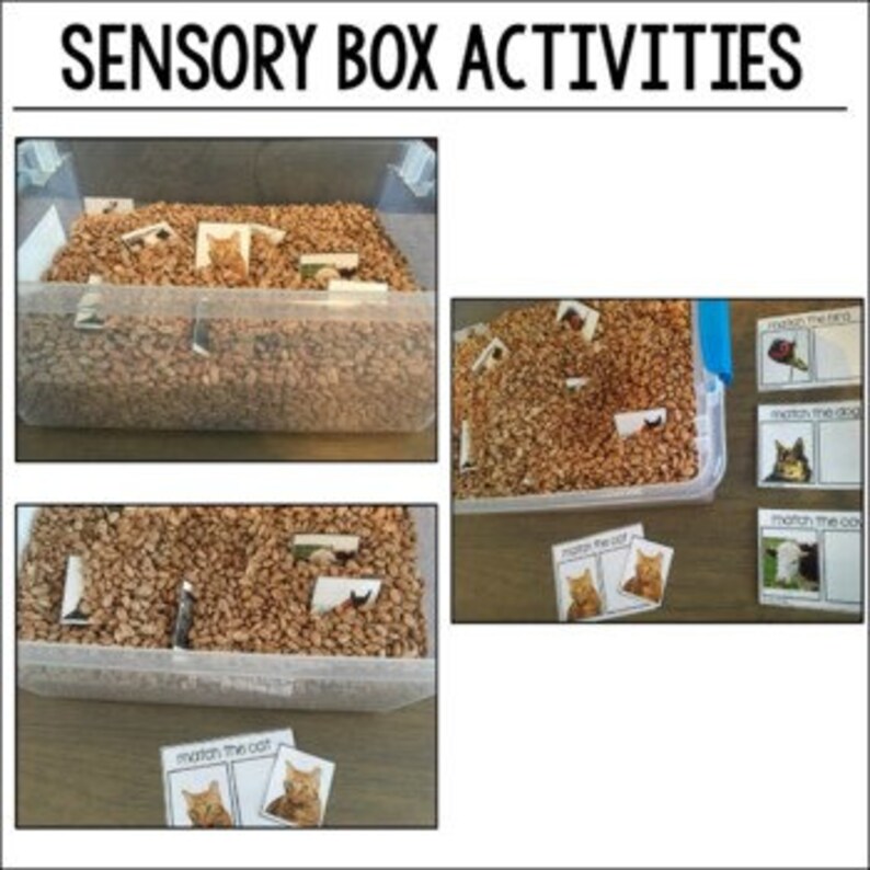 Sensory Box Activities for Special Education - Etsy