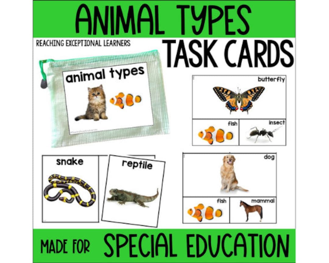 Animal Types Task Cards Special Education - Etsy