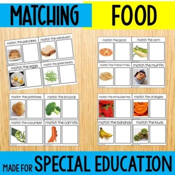 Matching Task Boxes for Special Education - Etsy