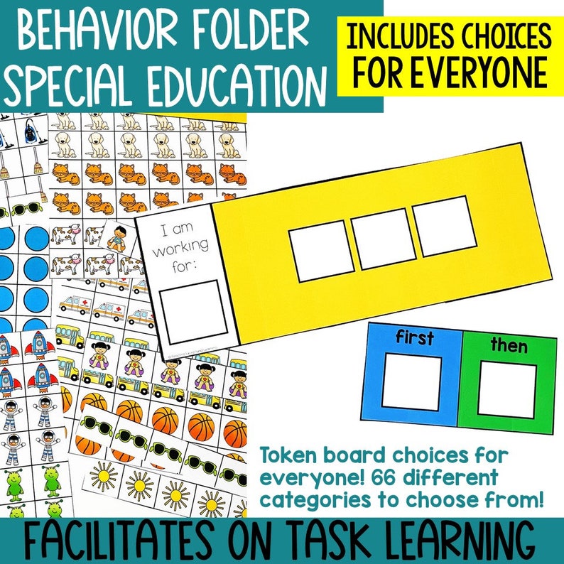 Behavior Folder for Autism and Special Needs - Etsy