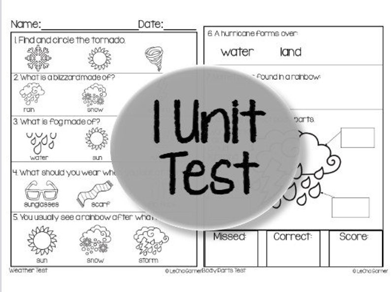 Weather Unit for Special Education - Etsy