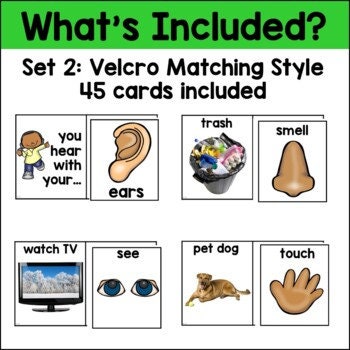 Five Senses Task Cards Special Education - Etsy