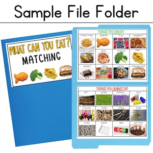 File Folder Bundle for Special Education - Etsy