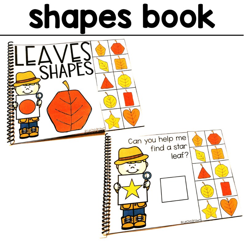 November Adapted Books Bundle - Etsy