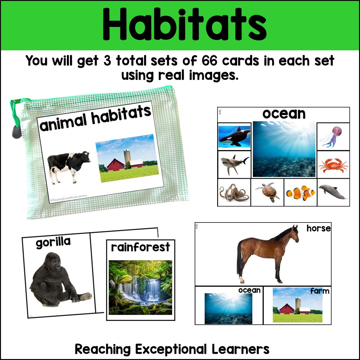 Science Task Boxes Special Education - Etsy