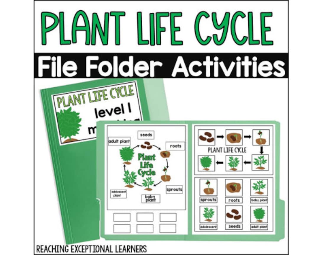 Plant Life Cycle File Folder Activity - Etsy