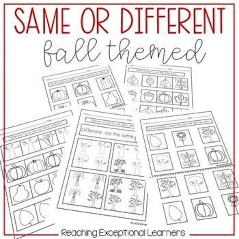 Same or Different Fall Worksheets Special Education - Etsy