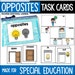 Opposites Task Cards - Etsy