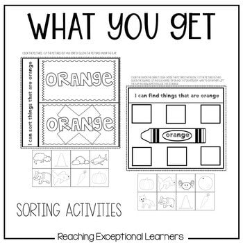 Colors Interactive Notebook - Etsy