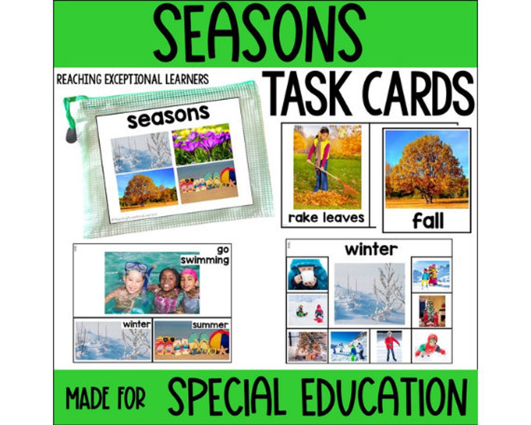 Seasons Task Cards Special Education - Etsy