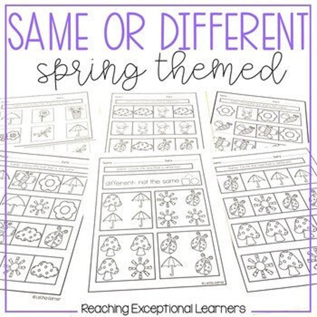 Same or Different Spring Worksheets Special Education - Etsy