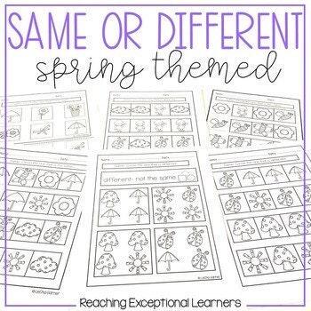 Same or Different Spring Worksheets Special Education - Etsy