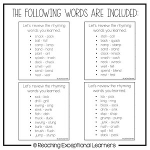 Rhyming Words Interactive Book for Special Education - Etsy