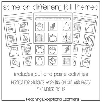 Same or Different Fall Worksheets Special Education - Etsy