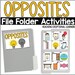 Opposites File Folder Activity - Etsy