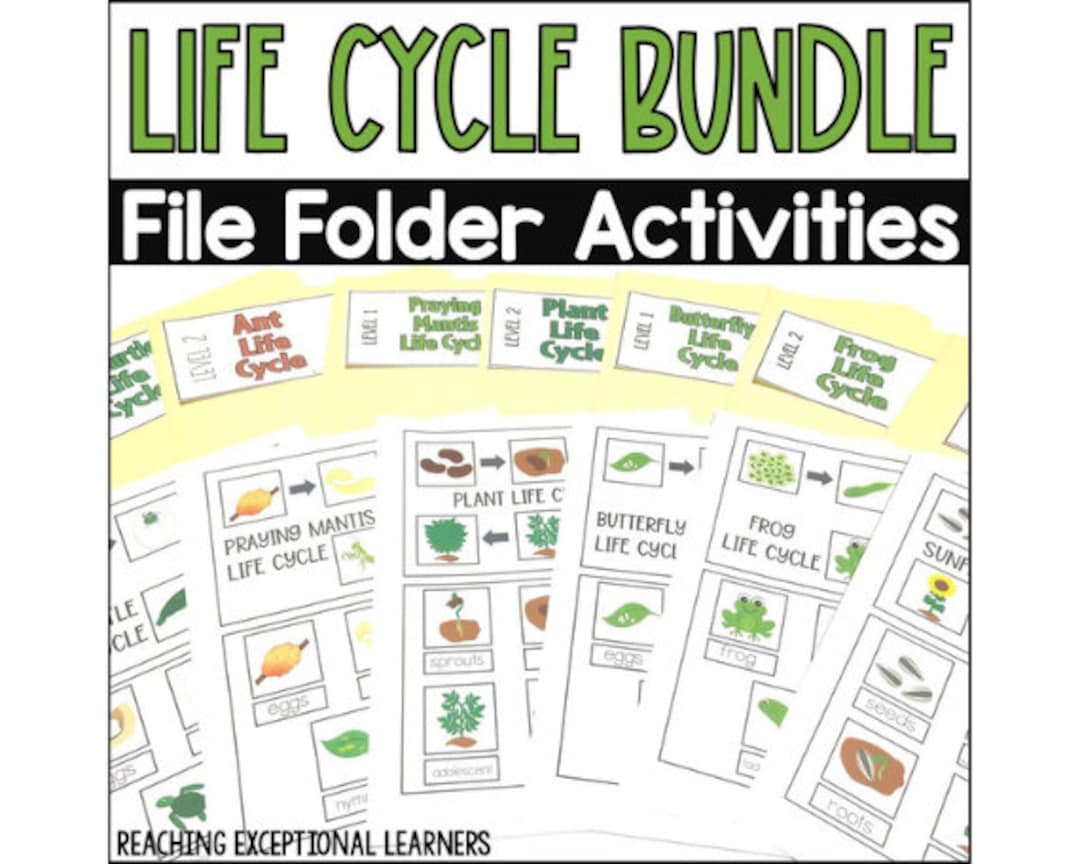 Life Cycle File Folder Activities Bundle - Etsy
