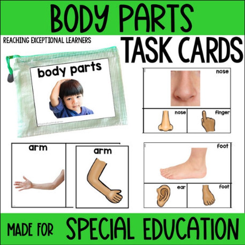 Body Parts Education Card - Etsy