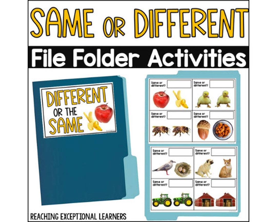Same or Different File Folder Activity - Etsy