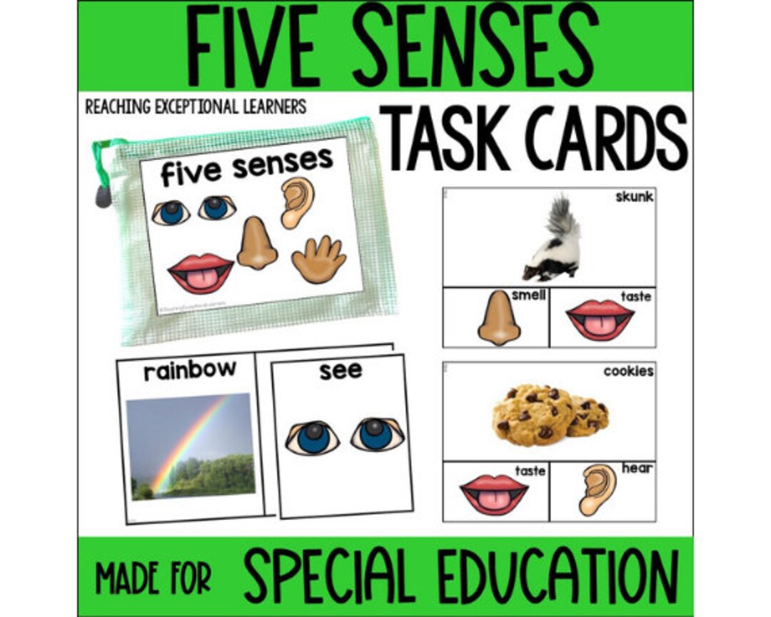 Five Senses Task Cards Special Education - Etsy