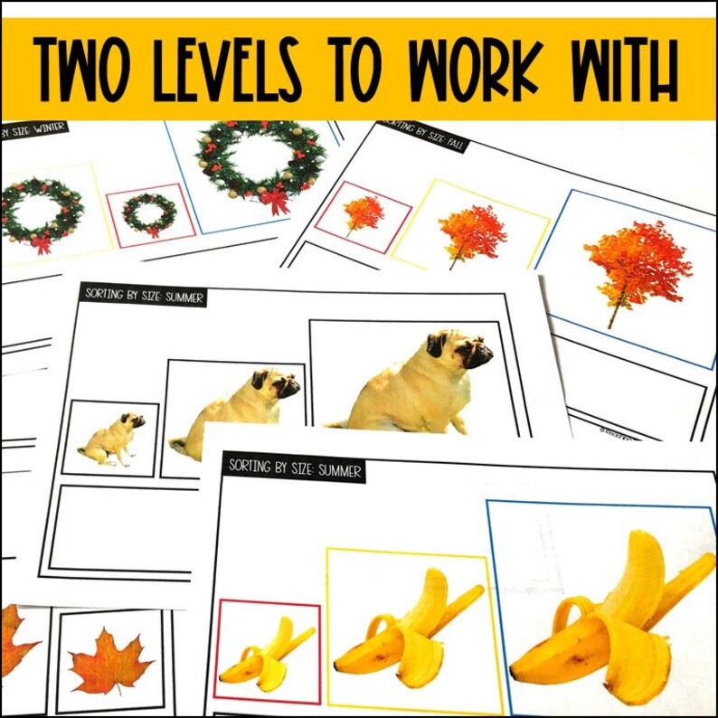 Sorting by Size Adapted Binder - Etsy