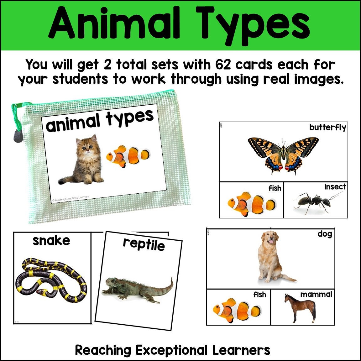 Science Task Boxes Special Education - Etsy