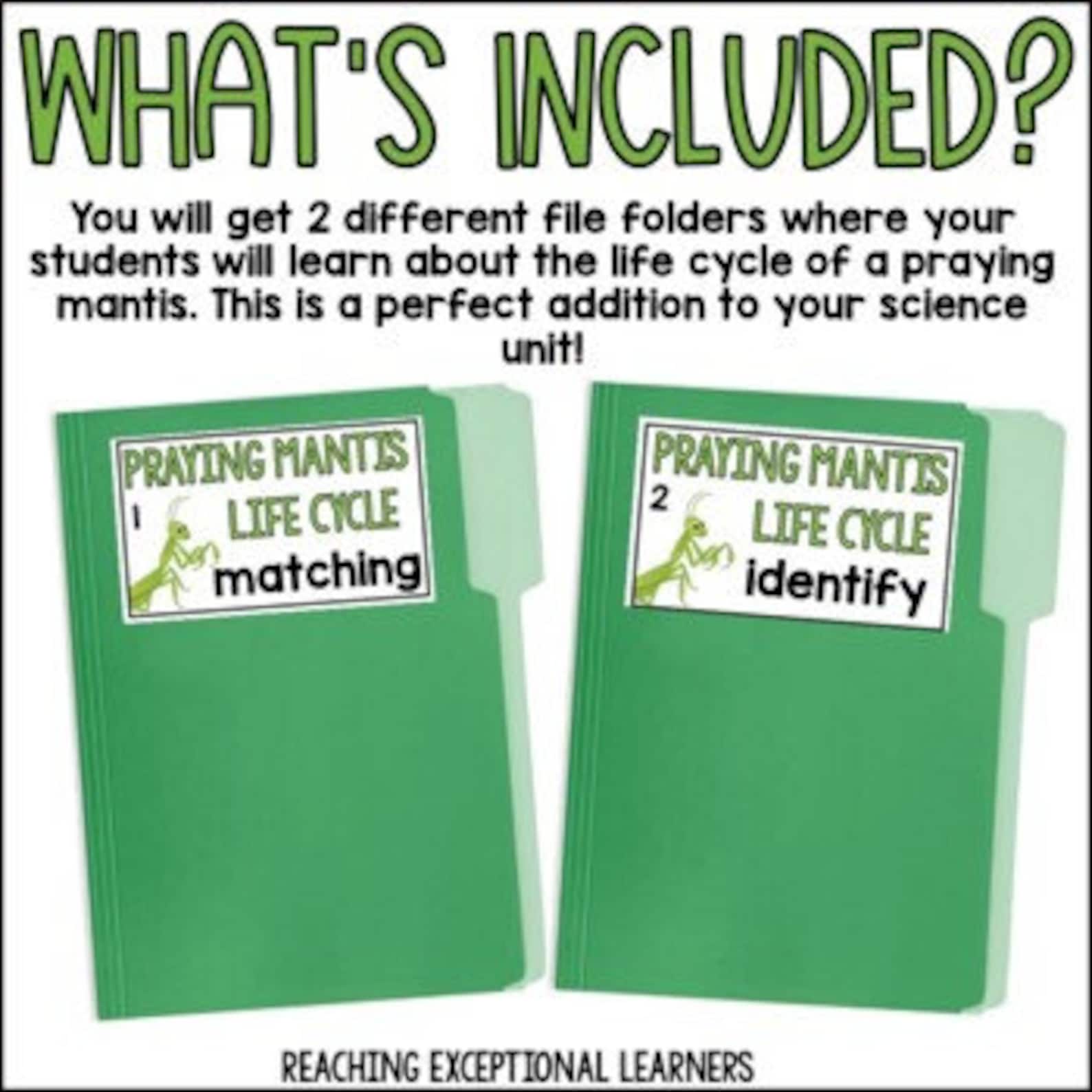 Praying Mantis Life Cycle File Folder Activities - Etsy