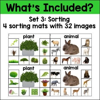 Plant or Animal Task Cards Special Education - Etsy