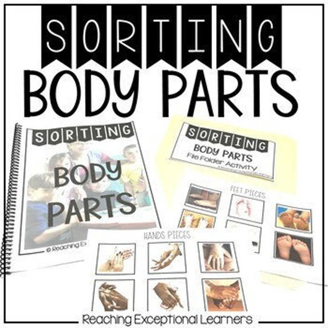 Body Parts Sorting for Special Education - Etsy