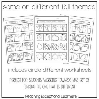 Same or Different Fall Worksheets Special Education - Etsy