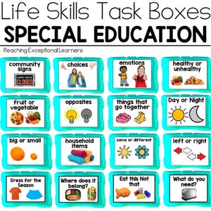 Special Education Task Box BUNDLE Vocational & Life Skills independent Skill Autism Task DIY ...