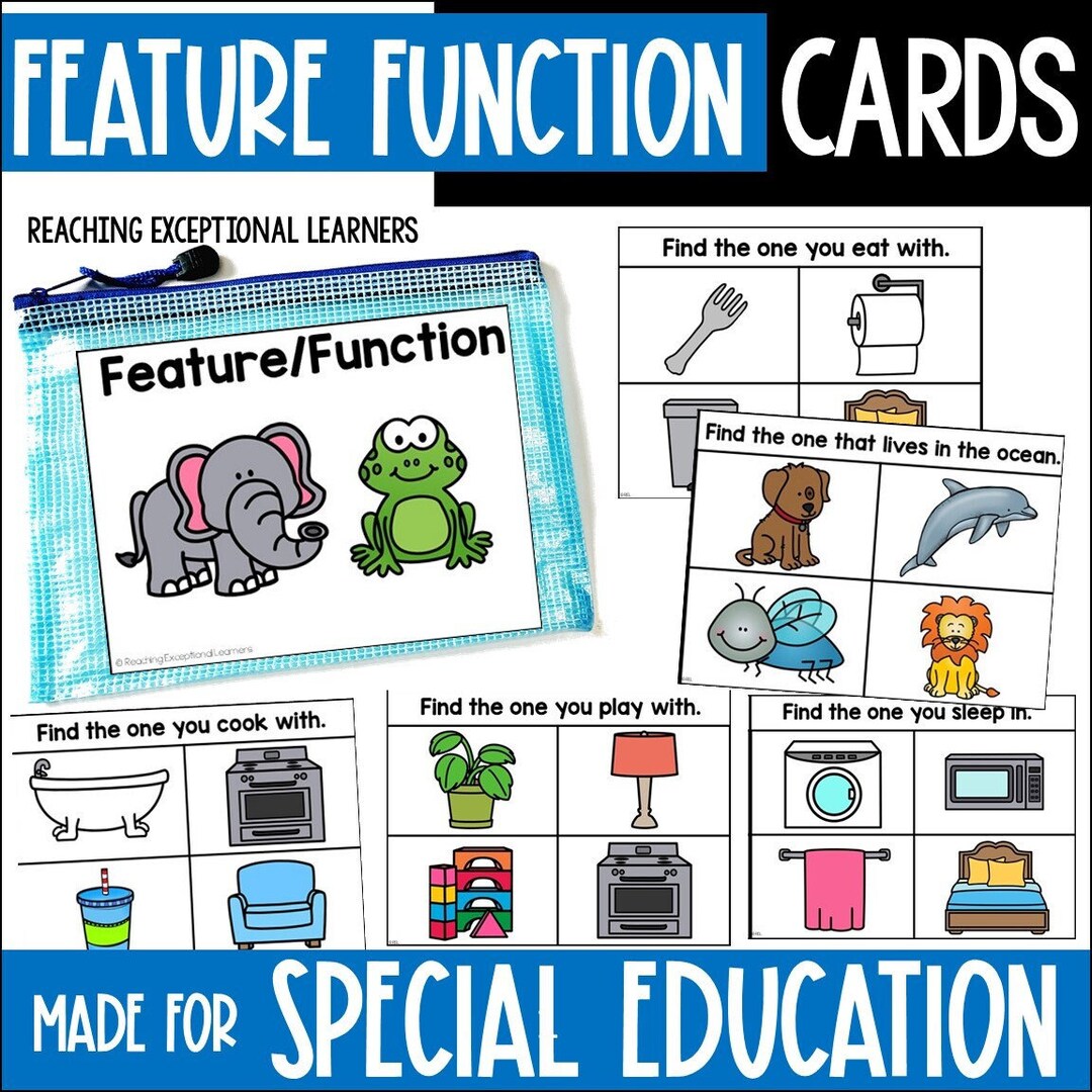 Feature Function Task Cards - Etsy