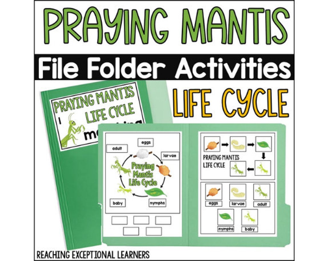 Praying Mantis Life Cycle File Folder Activities - Etsy