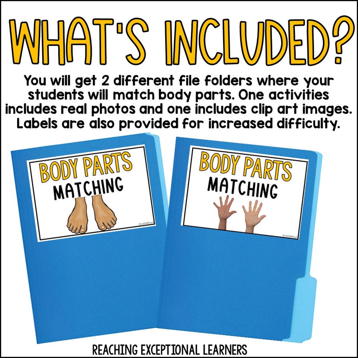 Body Parts File Folder Activities - Etsy