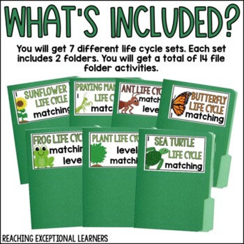 Life Cycle File Folder Activities Bundle - Etsy