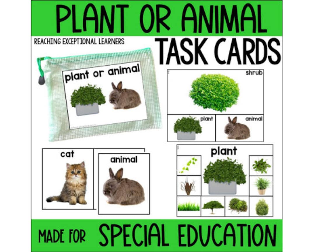 Plant or Animal Task Cards Special Education - Etsy